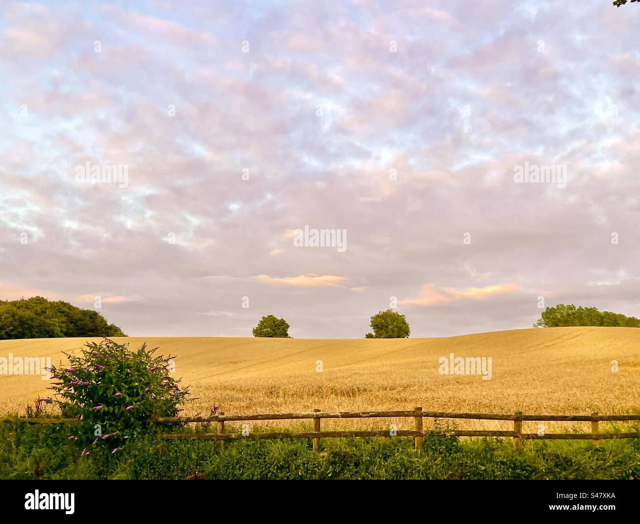 Bucolic hi-res stock photography and images - Alamy