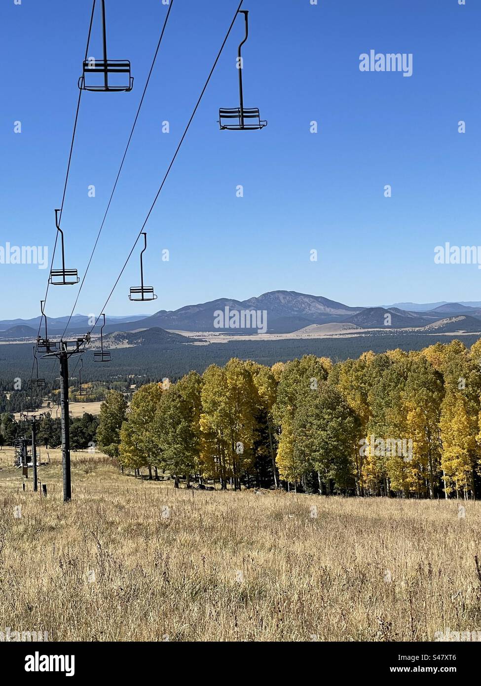 Aspen changing hi-res stock photography and images - Alamy