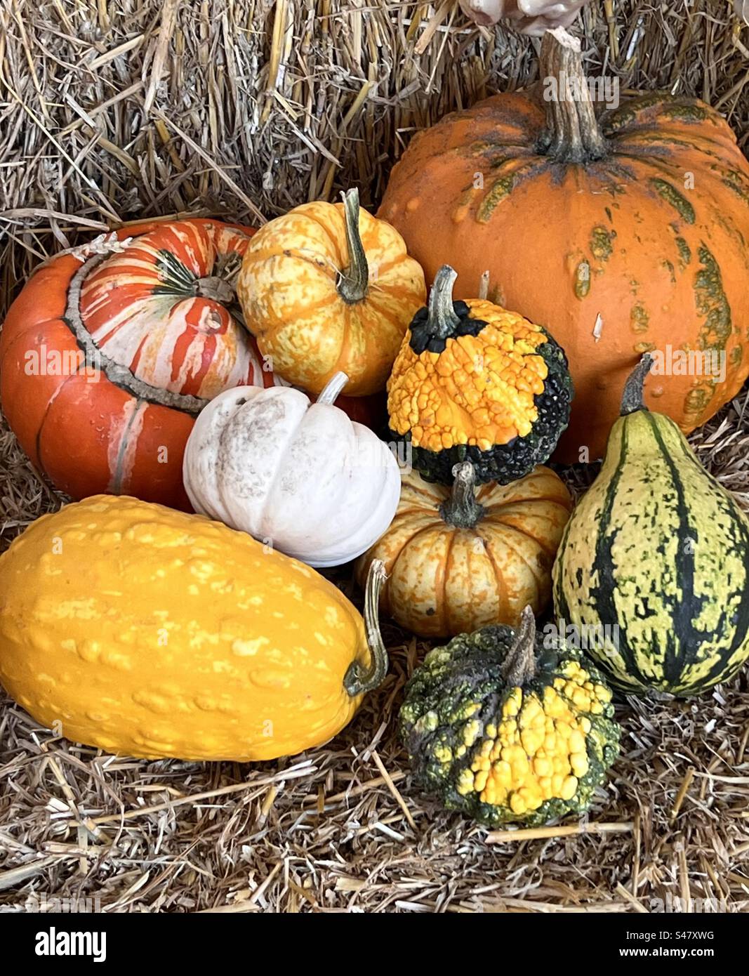 Array of colourful hi-res stock photography and images - Alamy