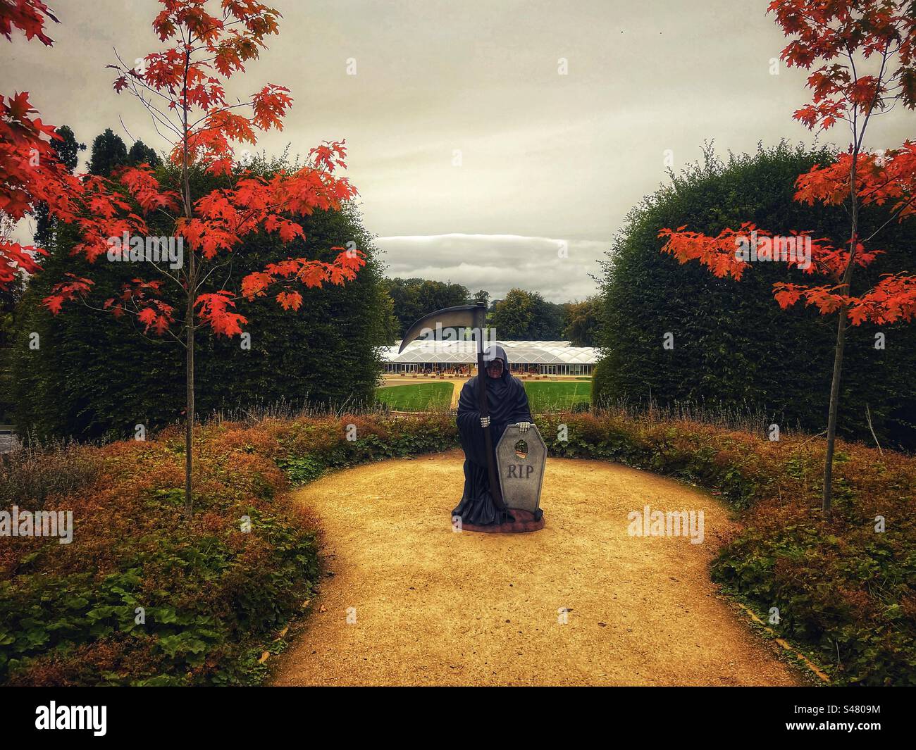 Grim reaper halloween pumpkins hi-res stock photography and images - Alamy