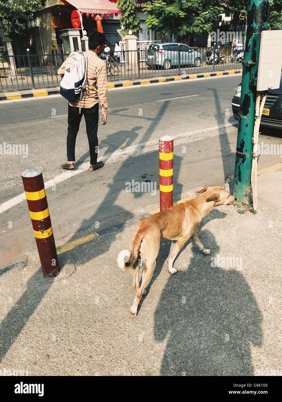 Man walking dog city street hi-res stock photography and images - Alamy