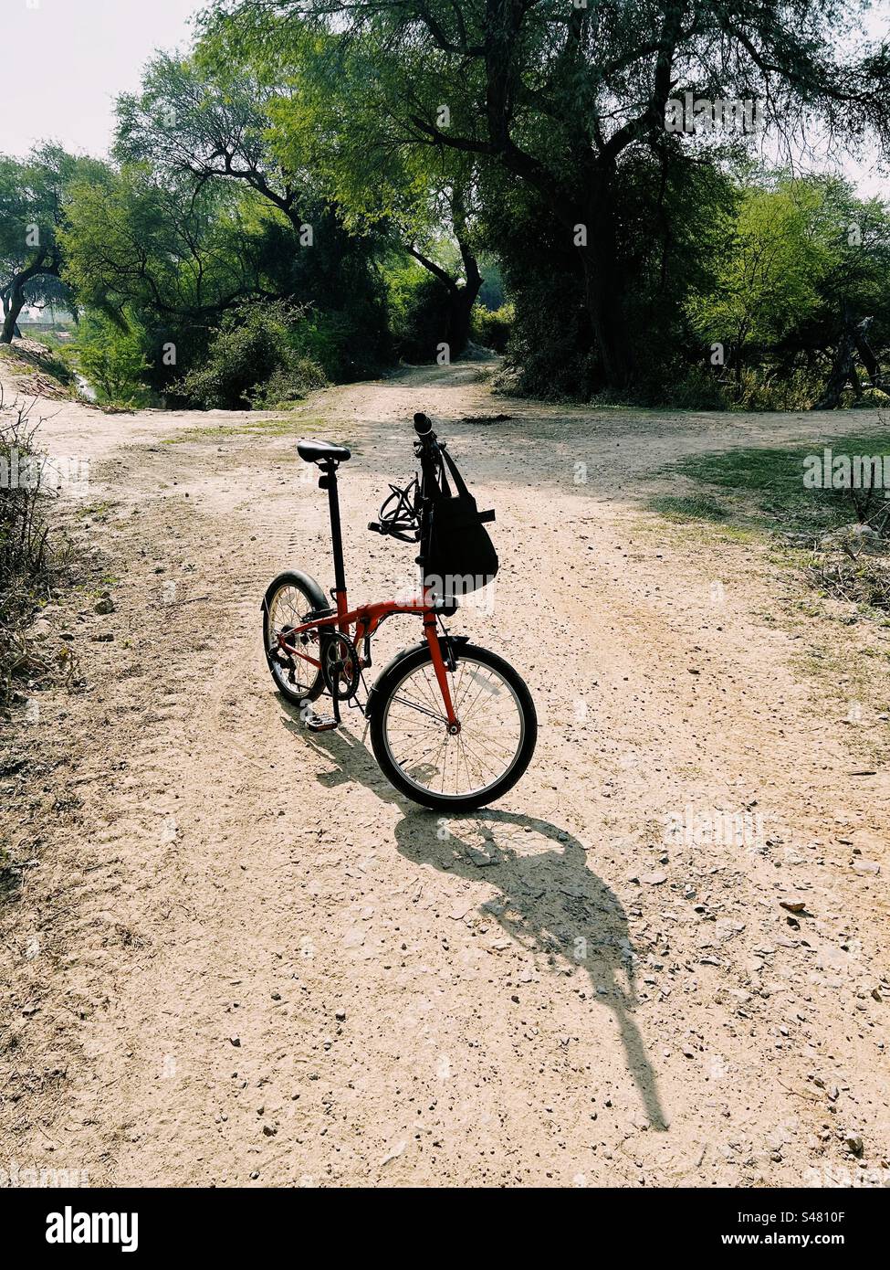A foldable cycle parked on a forest trail Stock Photo - Alamy