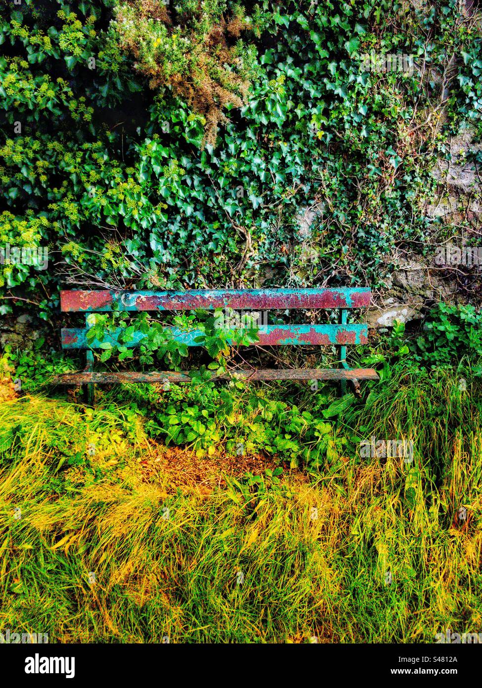 Metal bench overgrown with ivy Stock Photo - Alamy