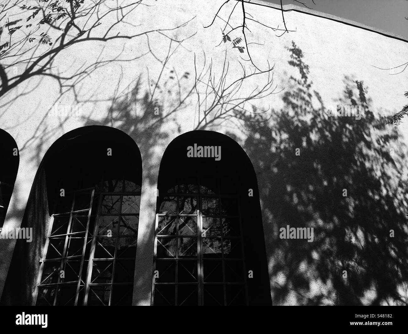 Shadows of trees on a wall with windows inside arches Stock Photo - Alamy
