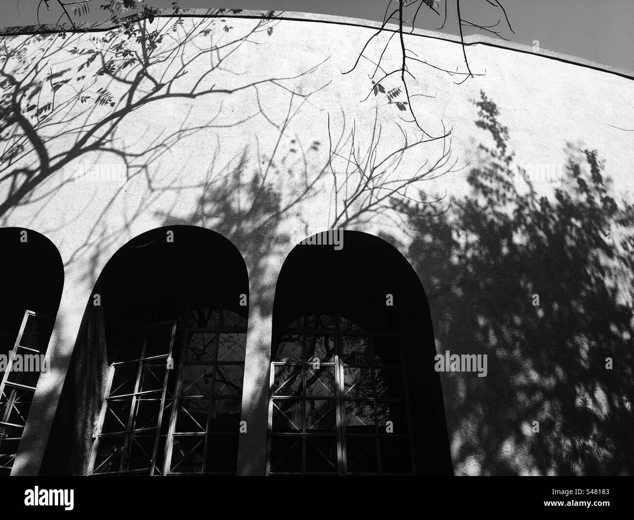 Tree shadow windows hi-res stock photography and images - Alamy