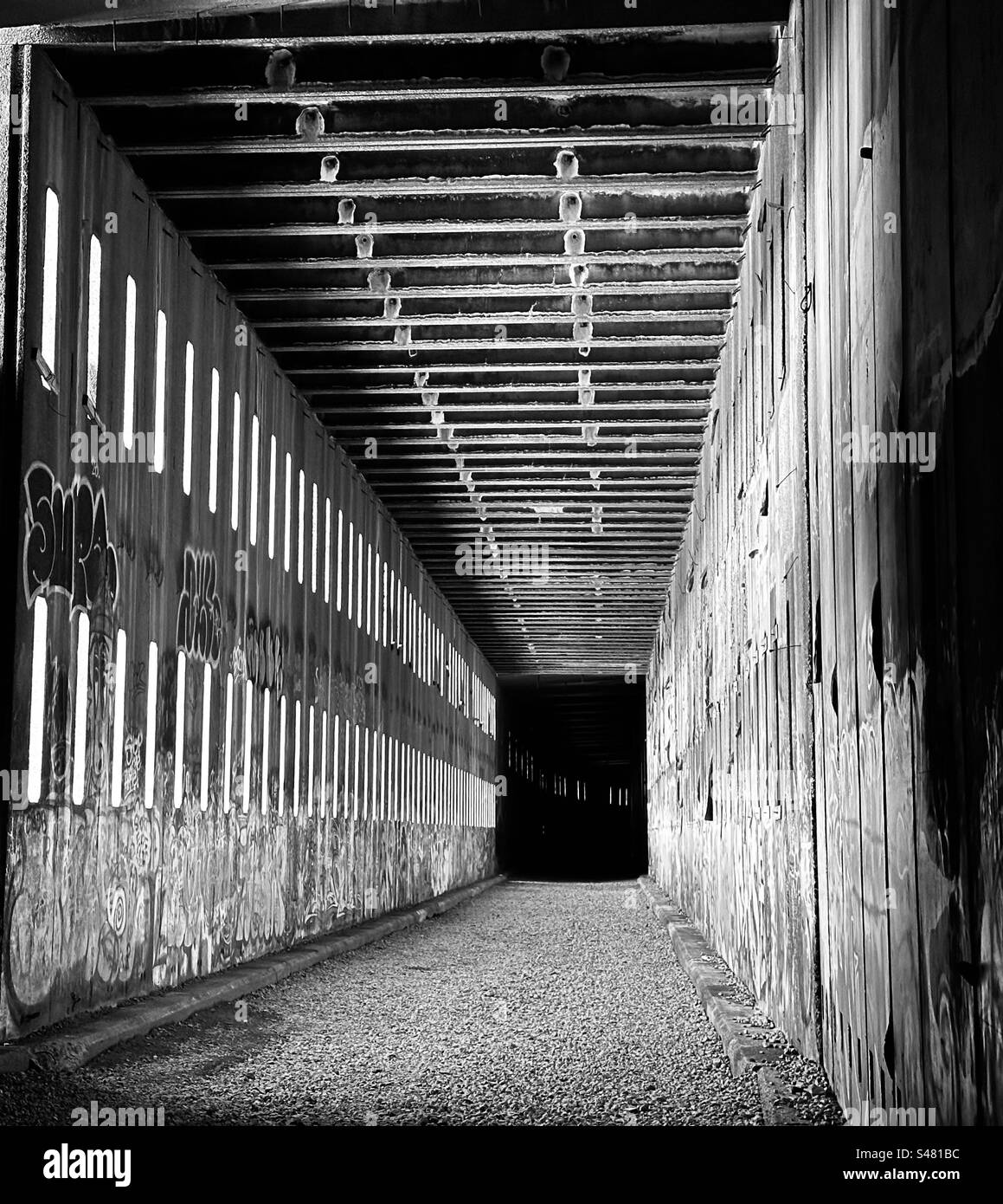 A Series Of Tunnels And Snowsheds Constructed By Chinese Immigrant Laborers In The 1860s Was