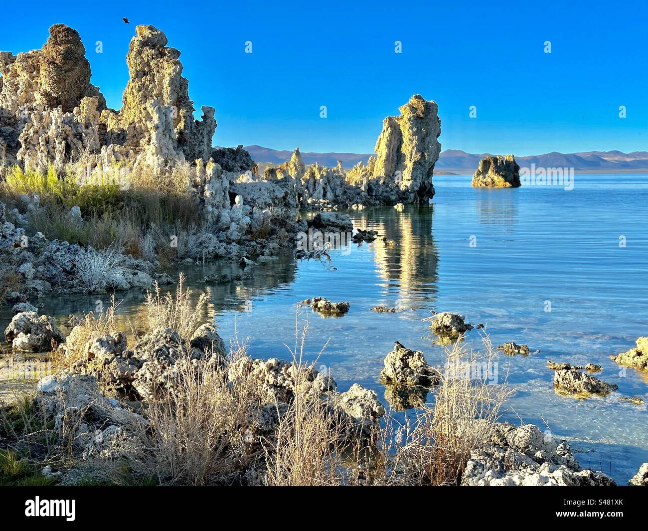 Distinctive columns hi-res stock photography and images - Alamy