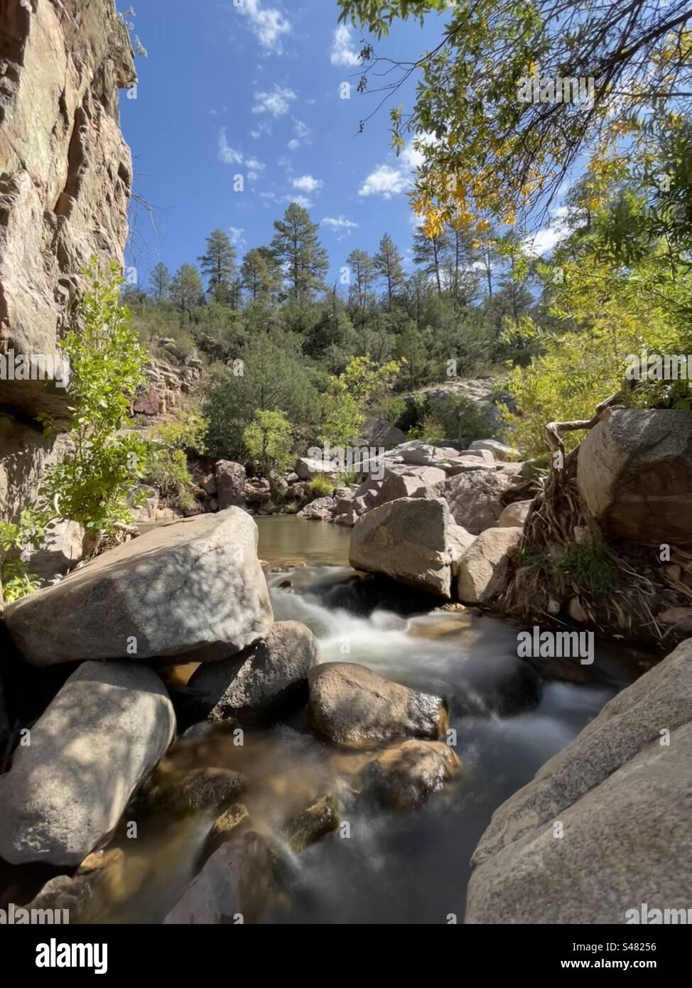 East Verde River meets Ellison Creek, Water Wheel falls trail, pink ...