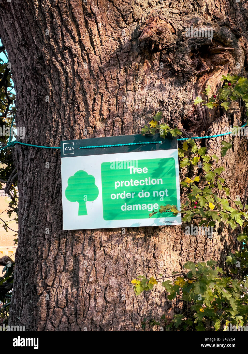 Housing order hi-res stock photography and images - Alamy