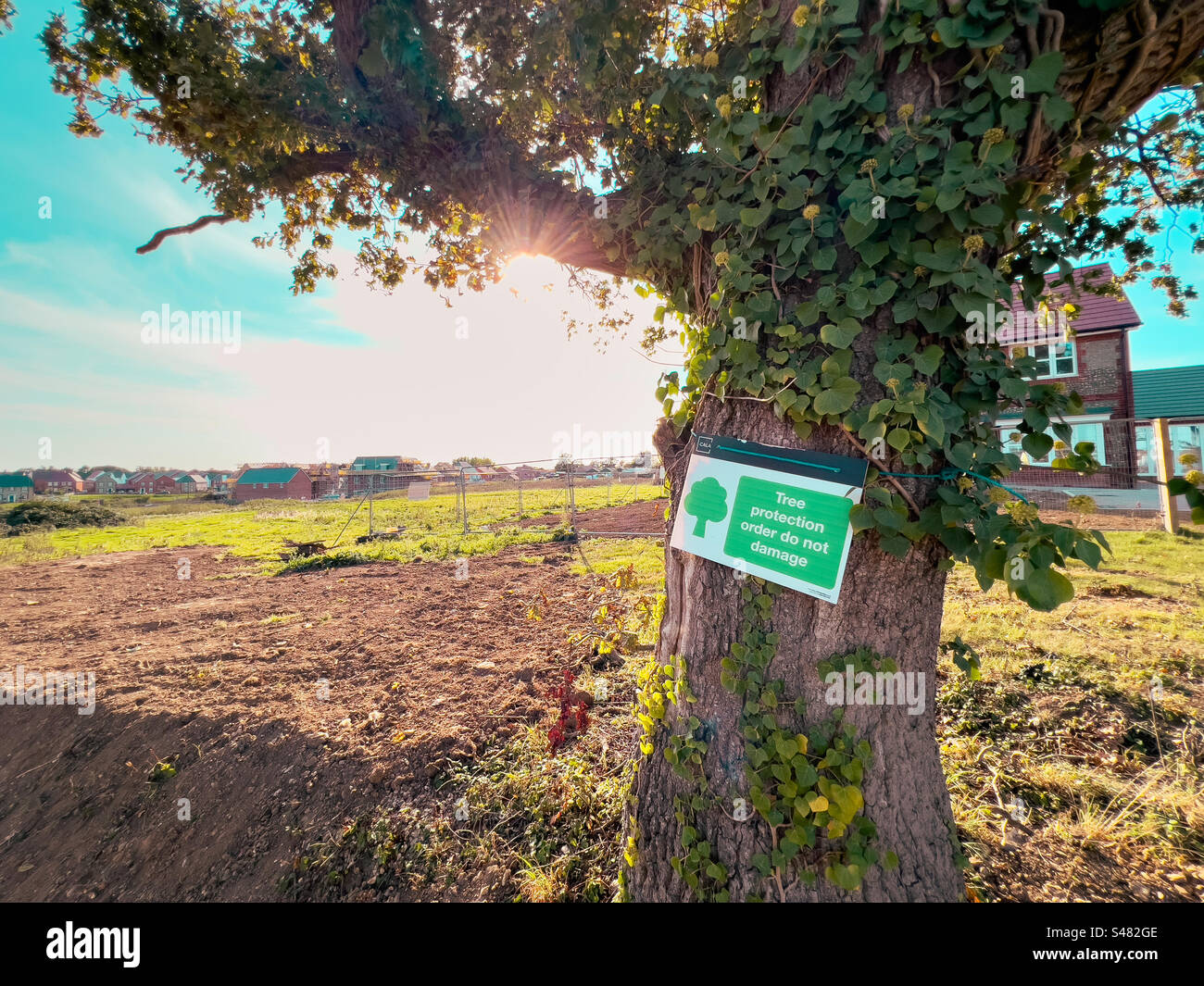 Tree Protection Order Do Not Damage sign on the trunk of a tree on the ...