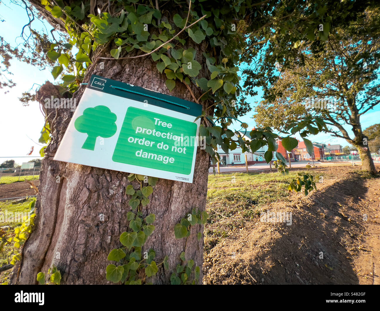 Tree Protection Order Do Not Damage sign on the trunk of a tree on the ...