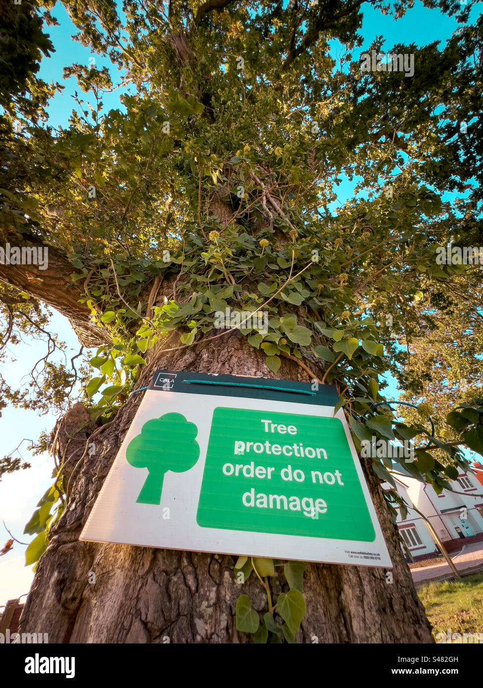 Tree Protection Order Do Not Damage sign on the trunk of a tree on the ...
