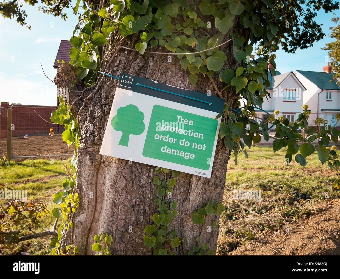 Forestry housing hi-res stock photography and images - Alamy