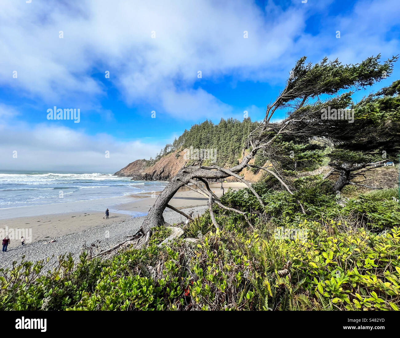 Windswept waves hi-res stock photography and images - Alamy