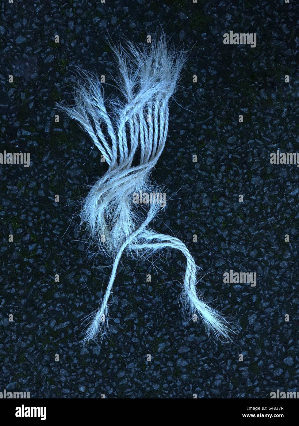 Strands of woven wool on wet tarmac path Stock Photo - Alamy