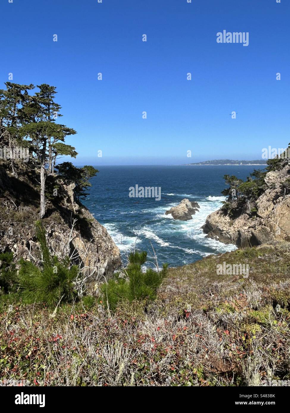Cypress trees point lobos hi-res stock photography and images - Alamy