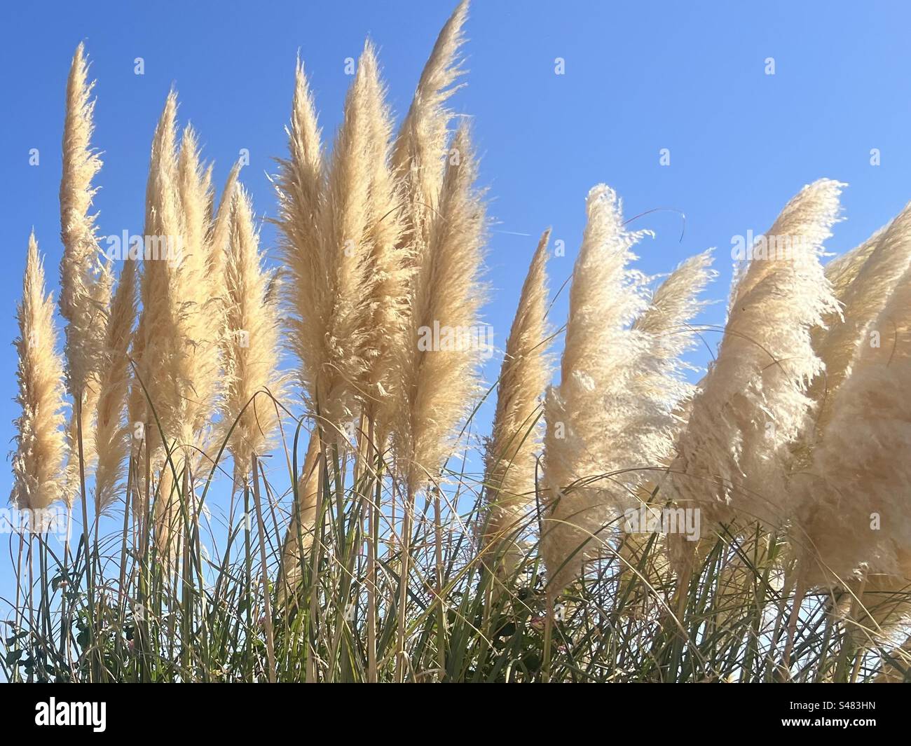 Earth meets sky earth meets sky hi-res stock photography and images - Alamy