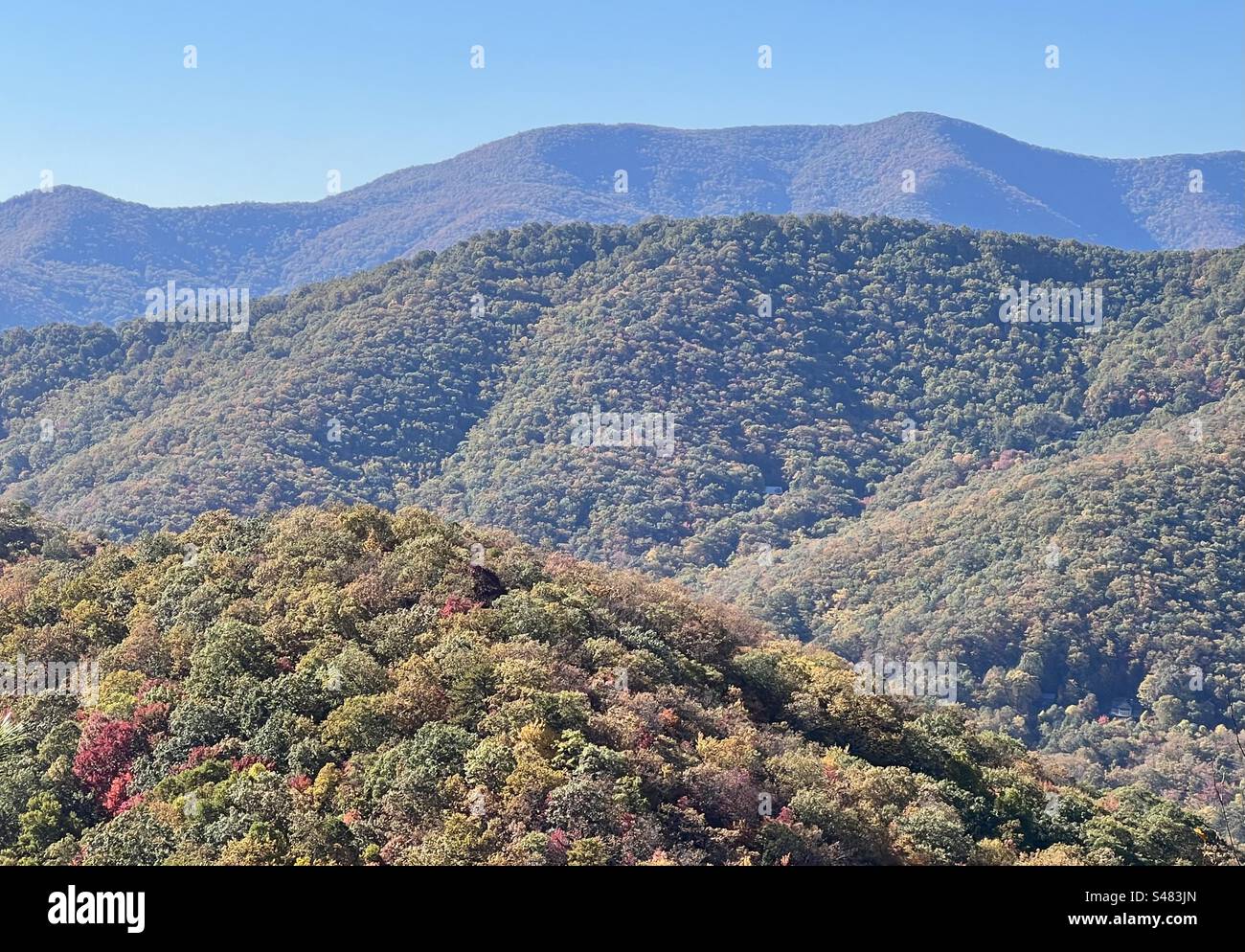 Fall foliage in western North Carolina Stock Photo - Alamy