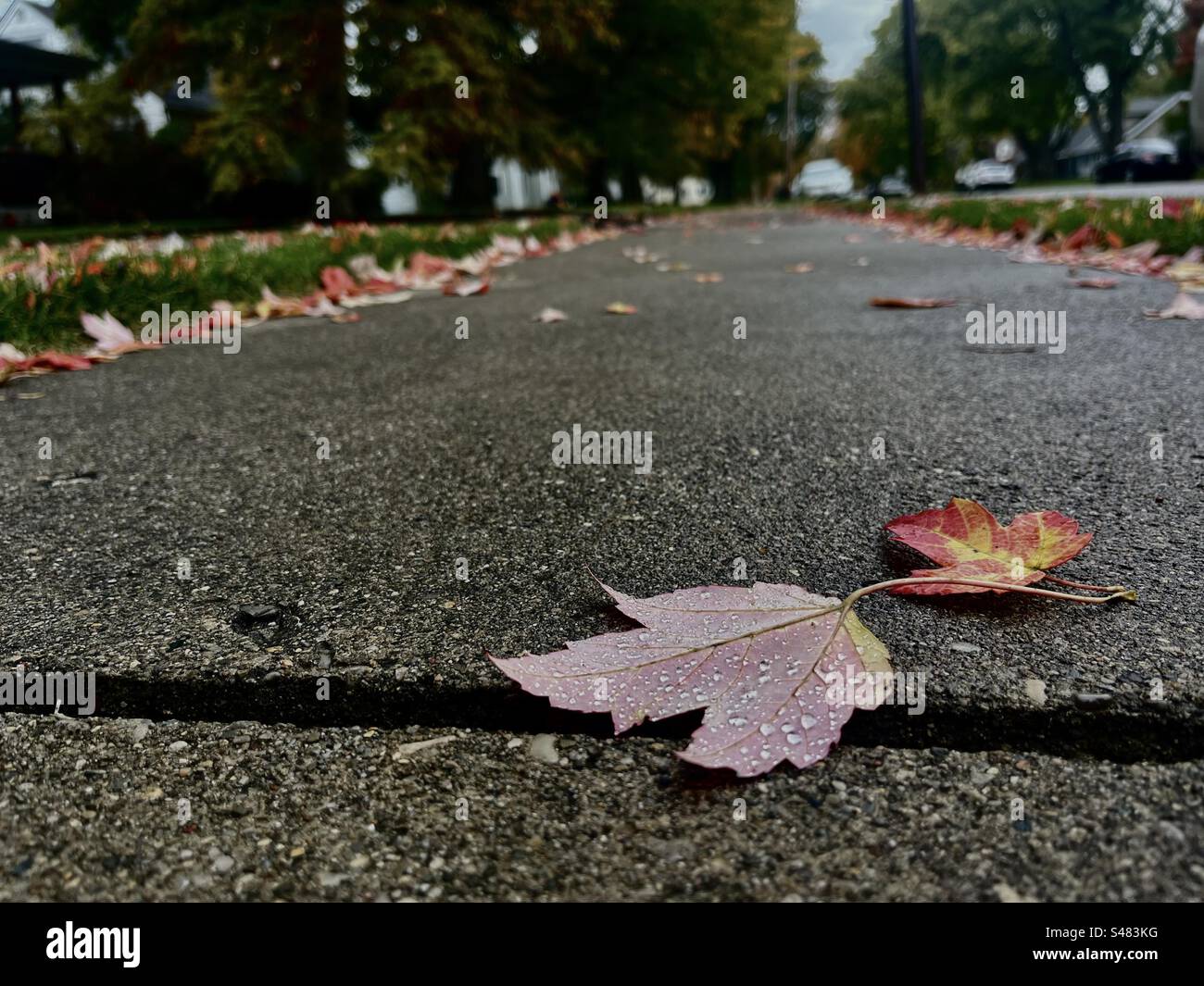 Fall in Ohio Stock Photo - Alamy