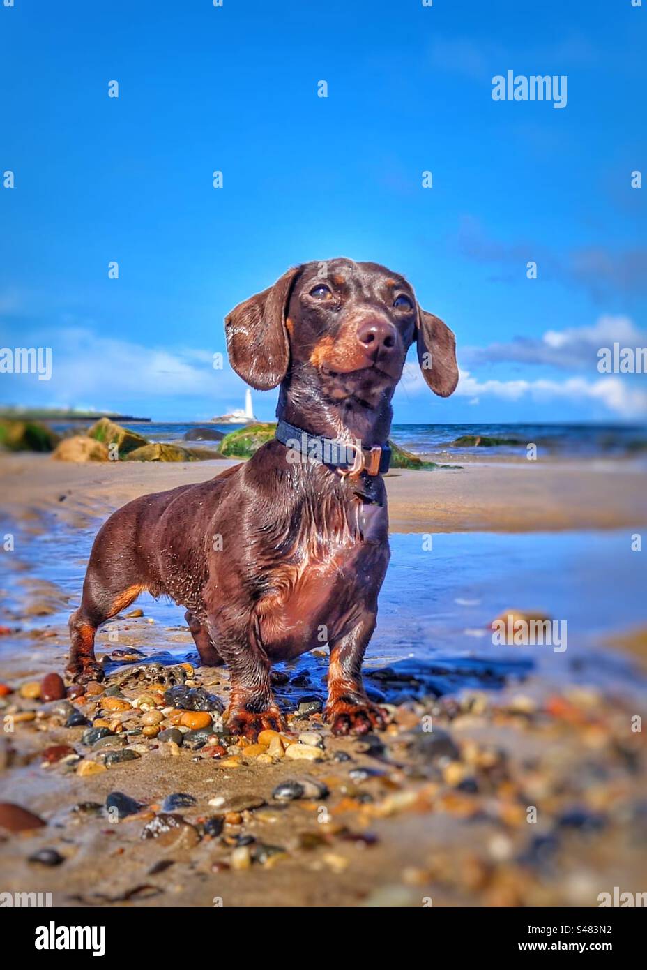 Diva beach hi-res stock photography and images - Alamy
