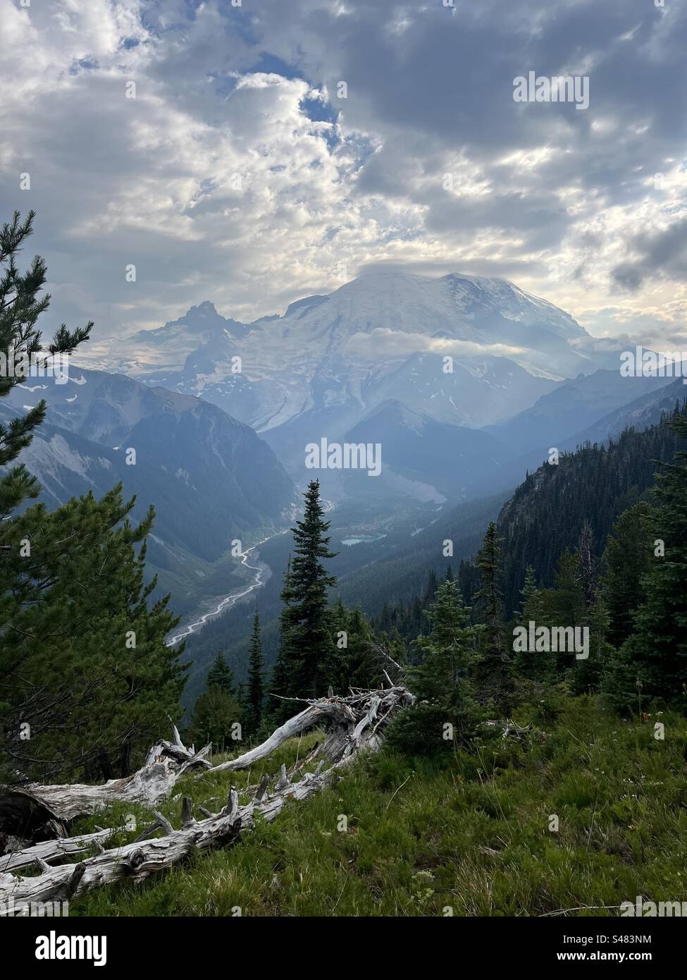 Mount rainier, wa Stock Photo - Alamy