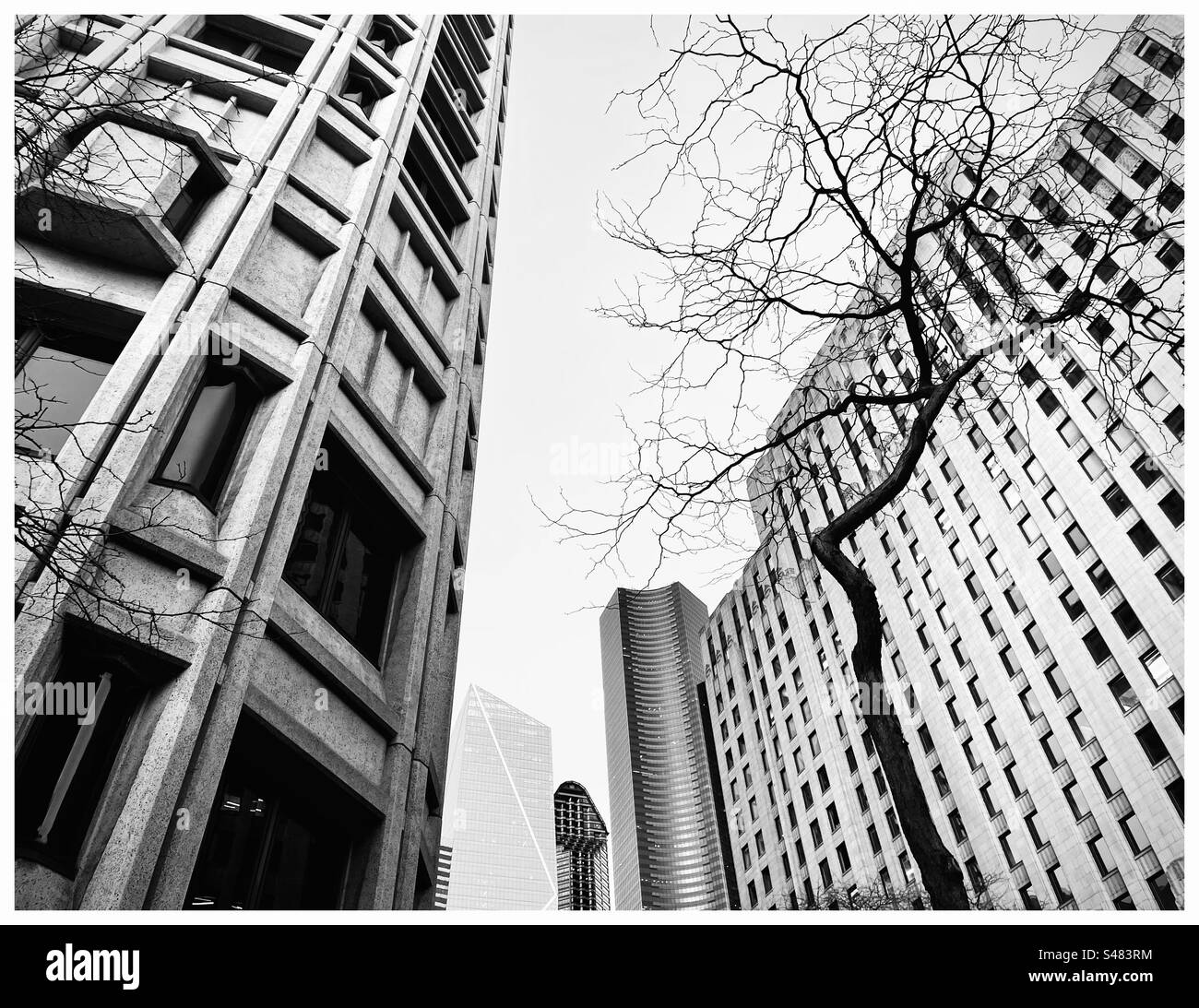 Downtown seattle winter hi-res stock photography and images - Alamy