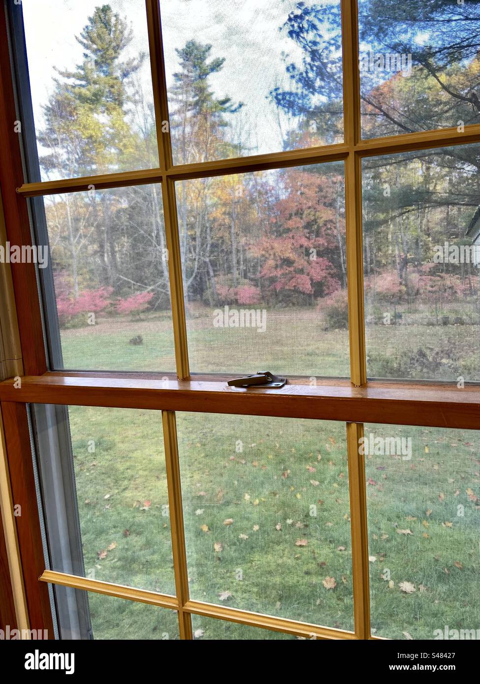 Fall view from window Stock Photo - Alamy