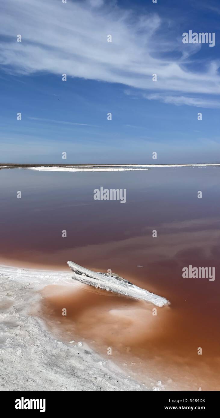 Alviso Marina County Park Stock Photo - Alamy