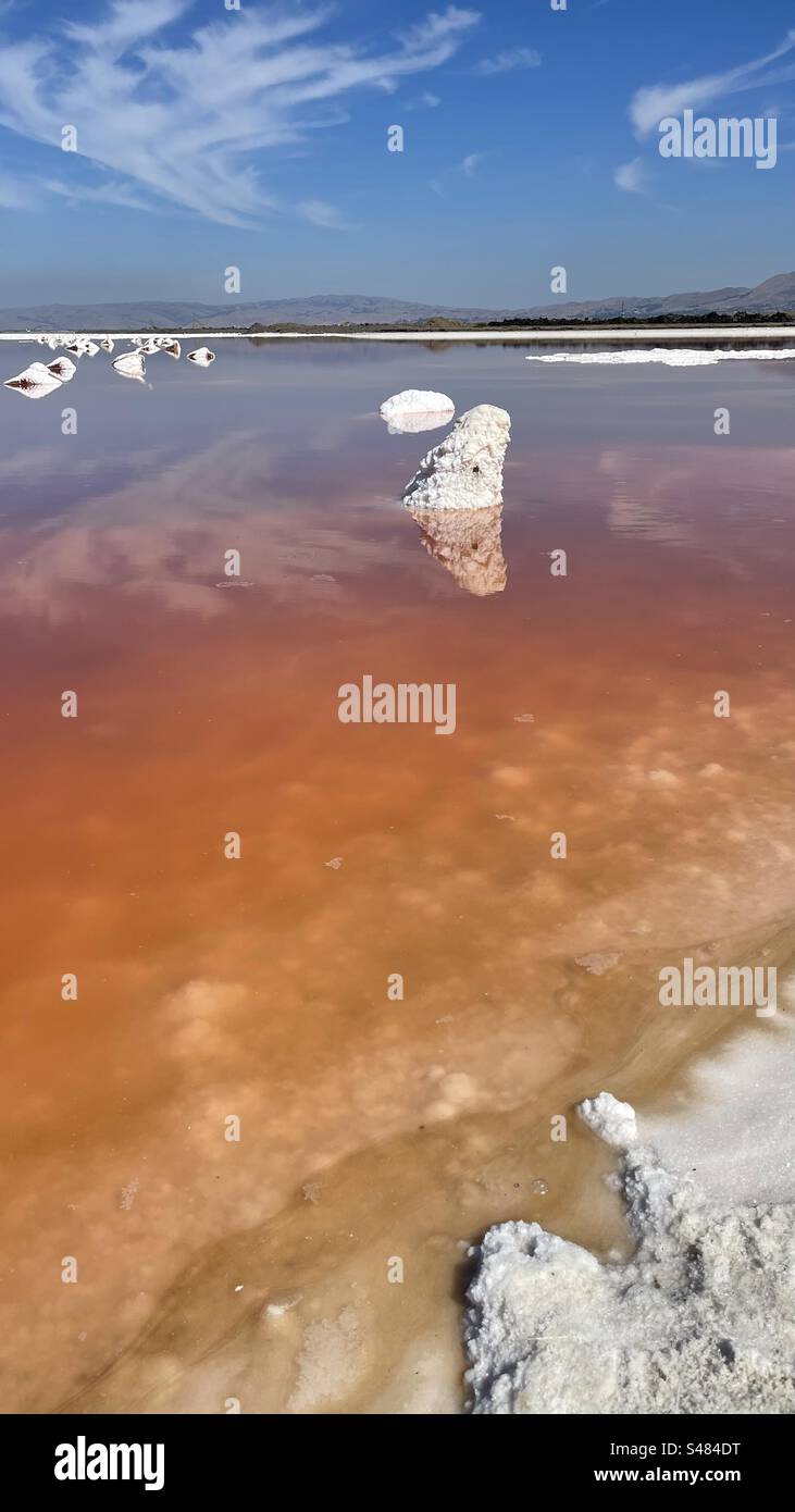 Alviso marina county park hi-res stock photography and images - Alamy