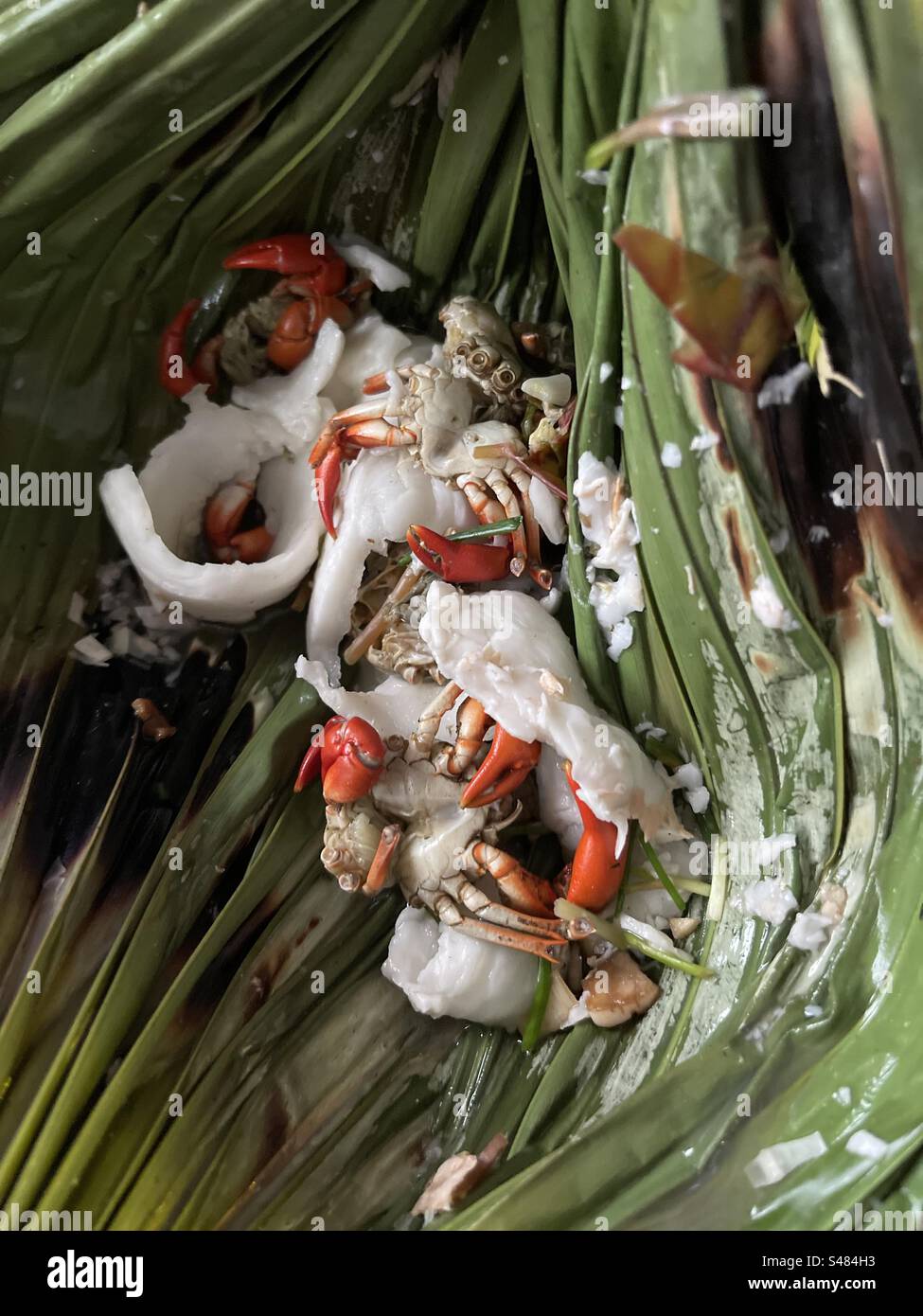 An indigenous dish of freshly harvested coconut meat and crabs steamed ...