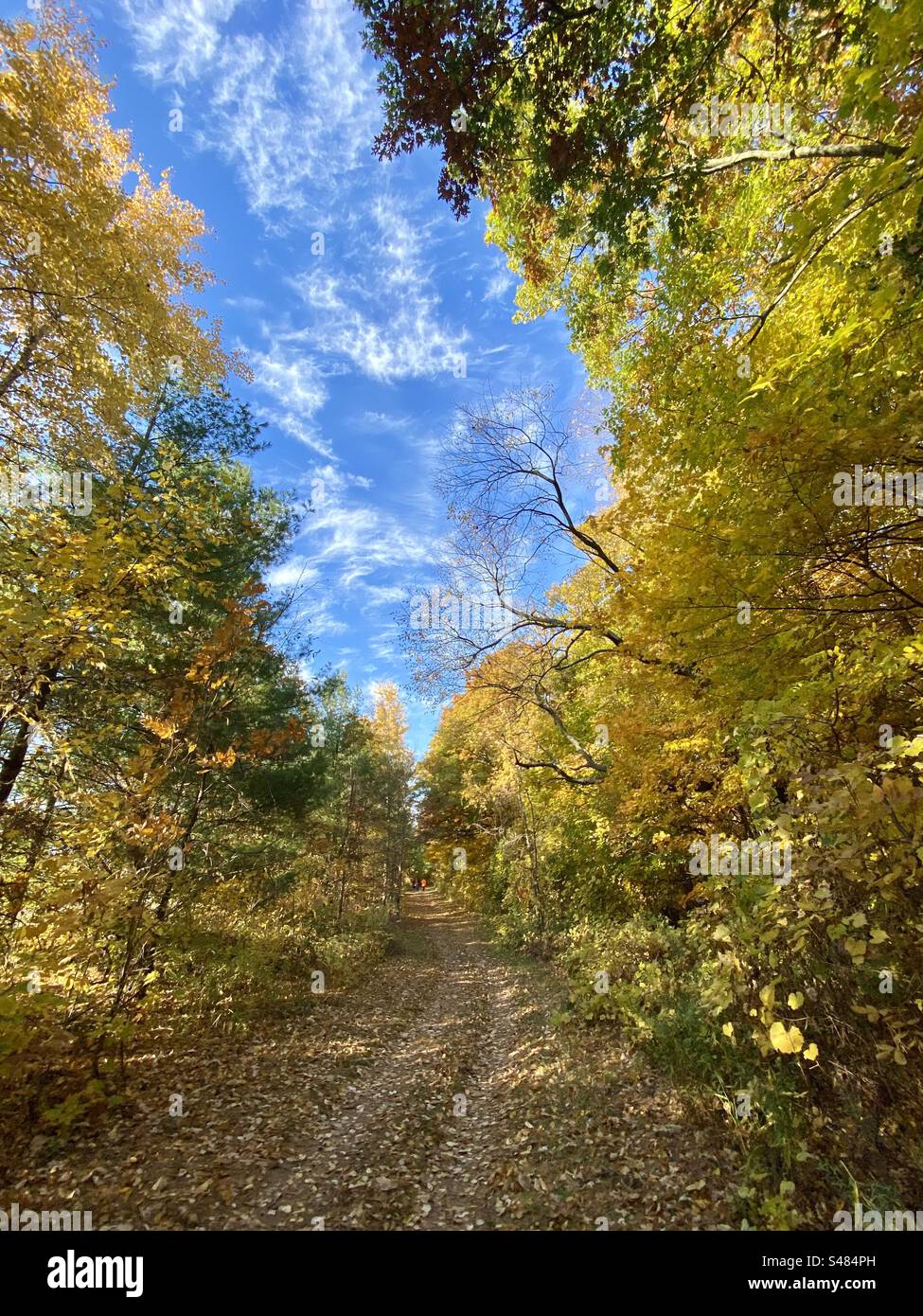 A path of tranquility amongst the fall leaves, underneath a serene sky ...