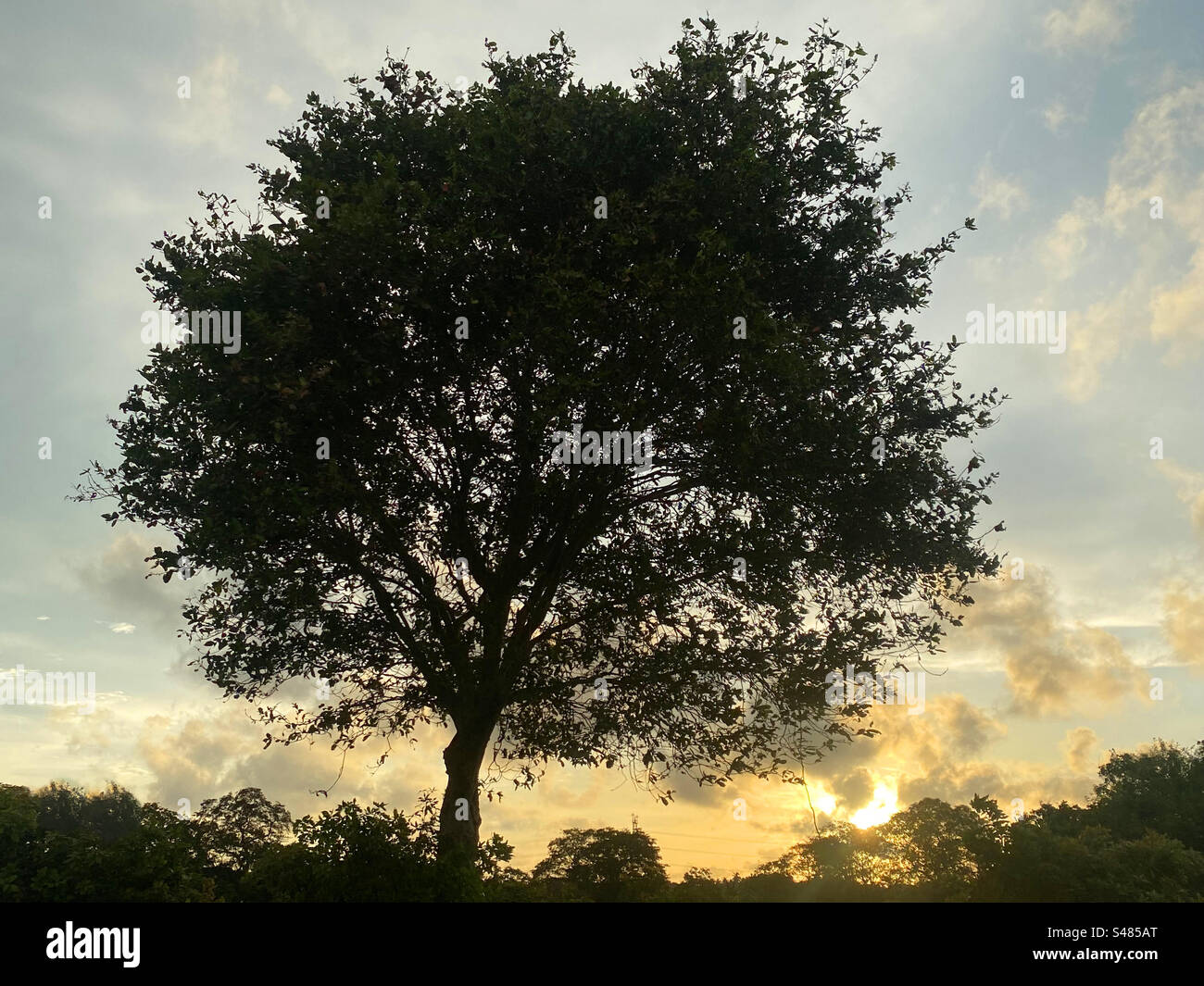 Sun and nature at night hi-res stock photography and images - Alamy