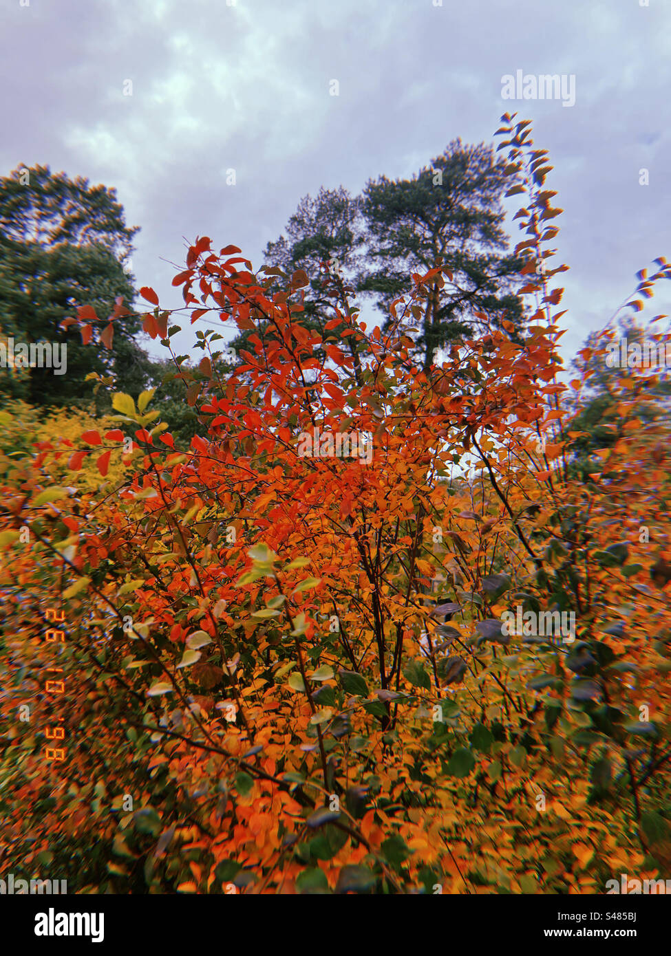 Autumn in ukraine hi-res stock photography and images - Alamy