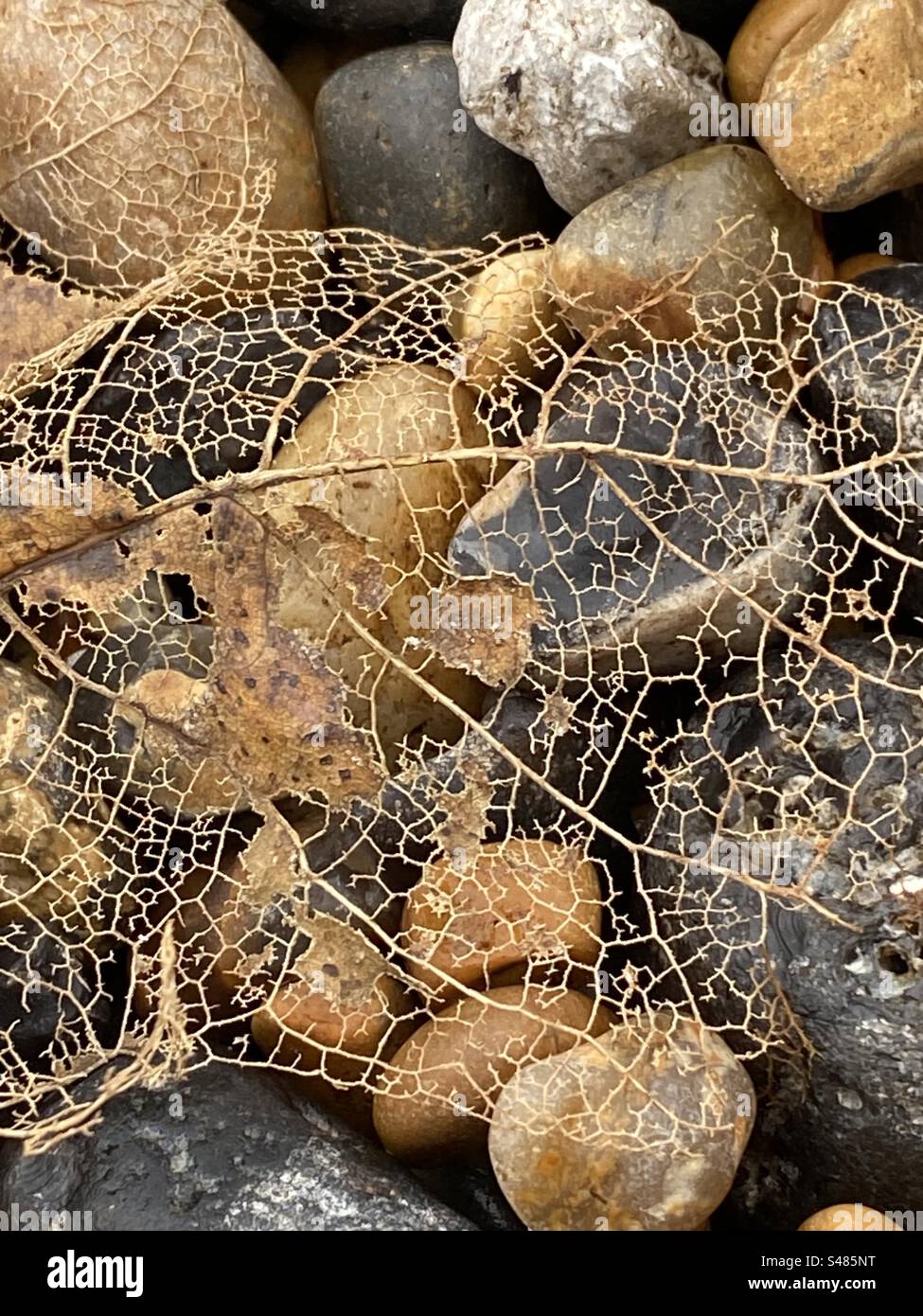 Pebble ground hi-res stock photography and images - Alamy