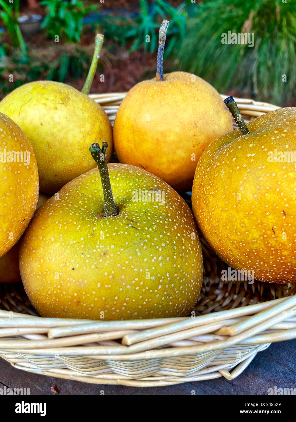Basket korean hi-res stock photography and images - Alamy