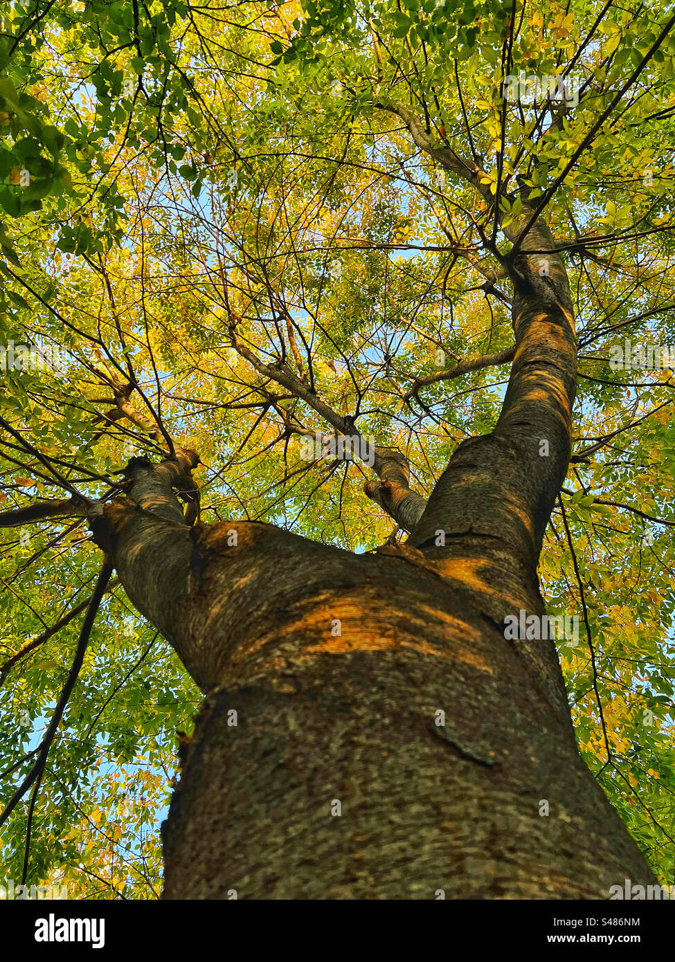 Spring green colors hi-res stock photography and images - Alamy