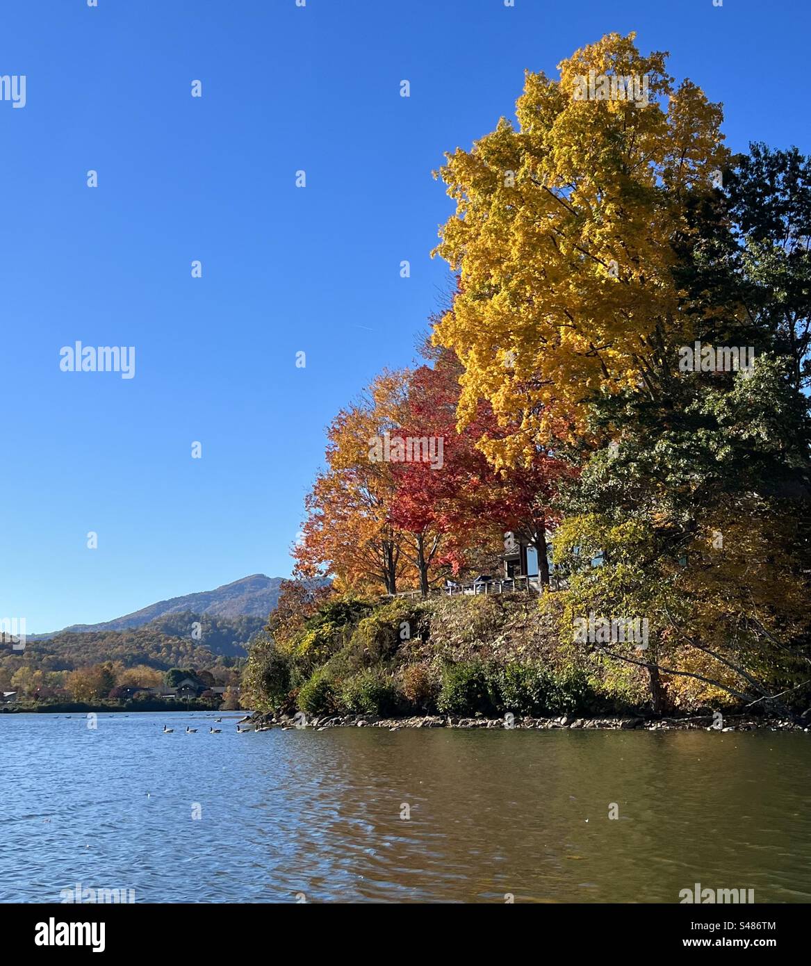 Fall geese hi-res stock photography and images - Alamy
