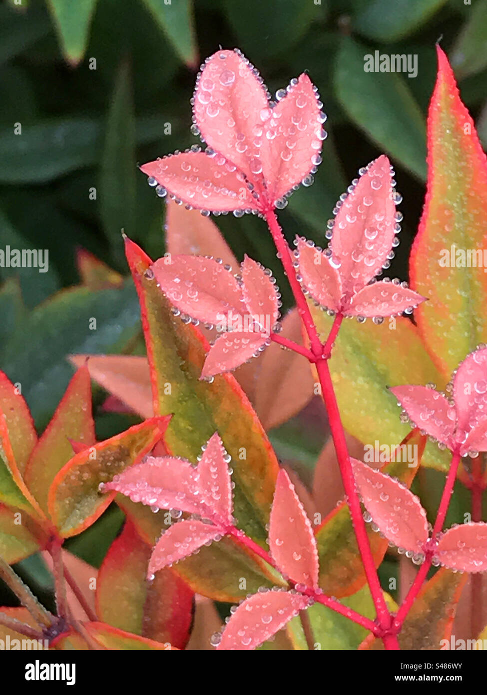 Wet autumn hi-res stock photography and images - Alamy