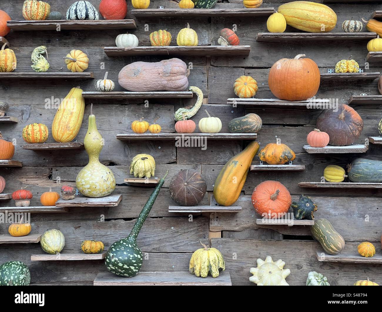 October vibes hi-res stock photography and images - Alamy