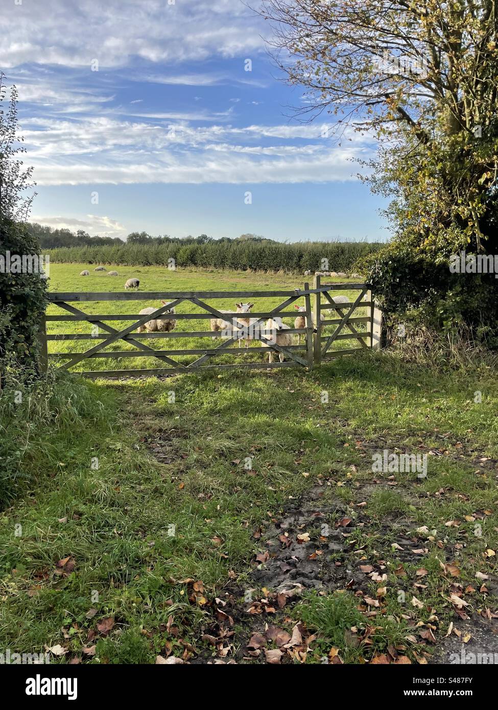 Cloudy midday hi-res stock photography and images - Alamy