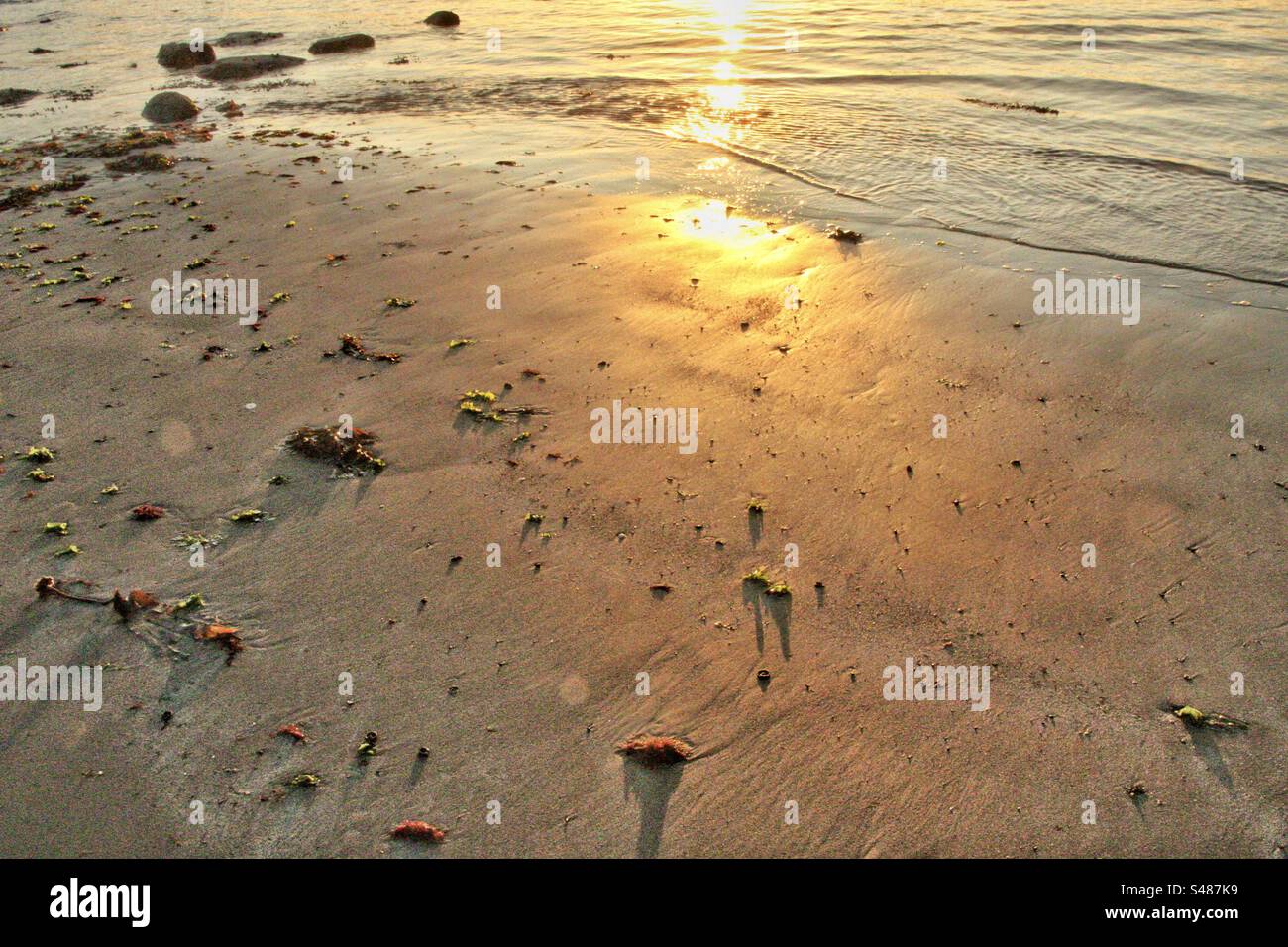 Lapping sun hi-res stock photography and images - Alamy