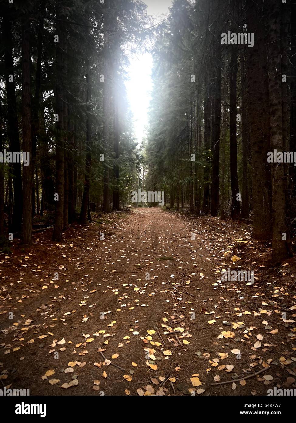 Back road hi-res stock photography and images - Alamy