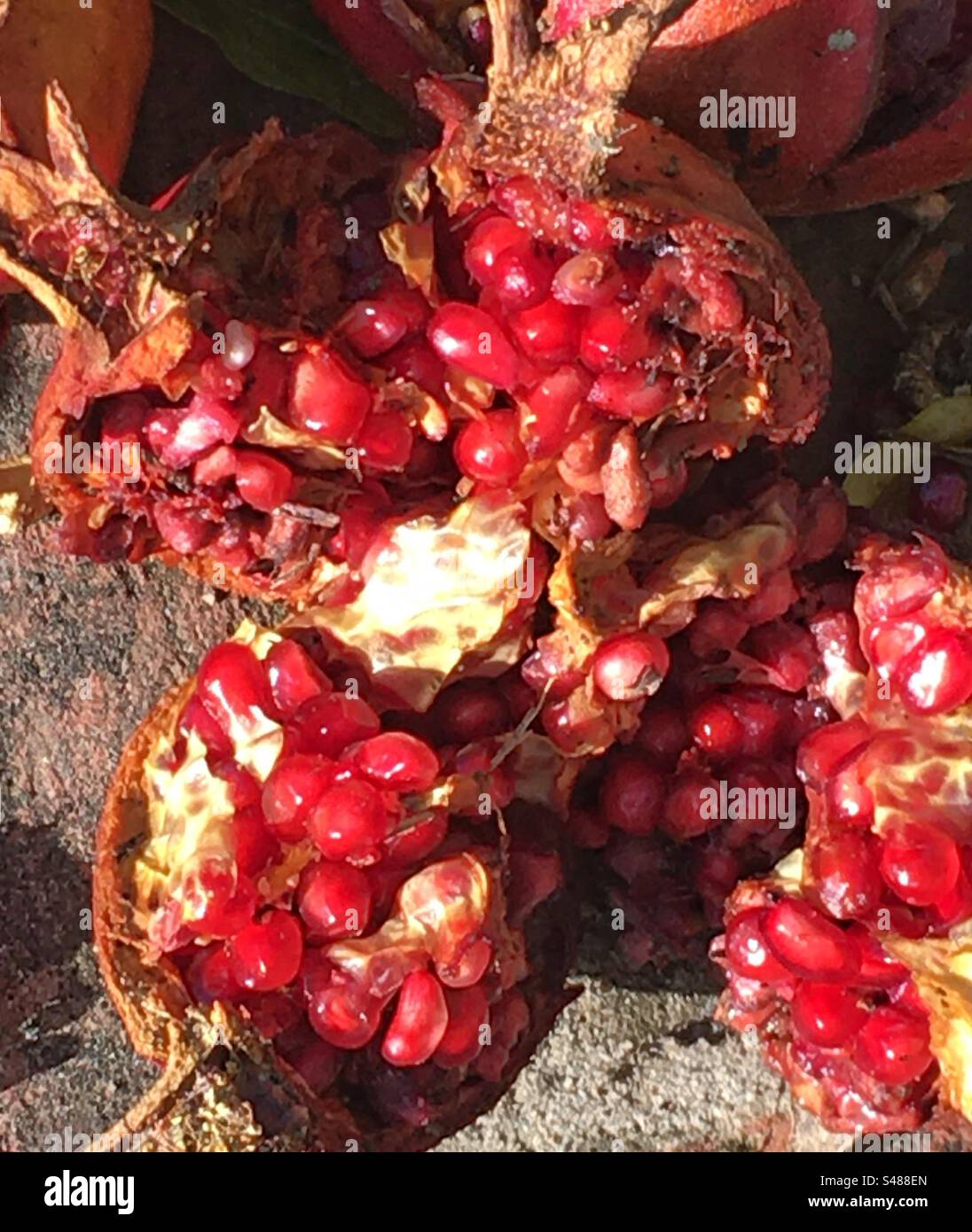 Aperte hi-res stock photography and images - Alamy