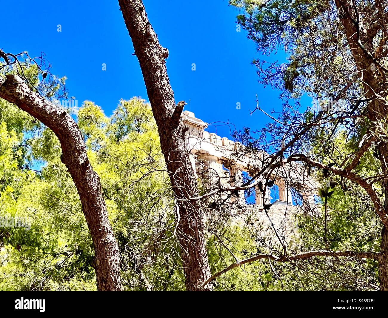 Parthenon of the Acropolis viewed through trees on the southern slope ...