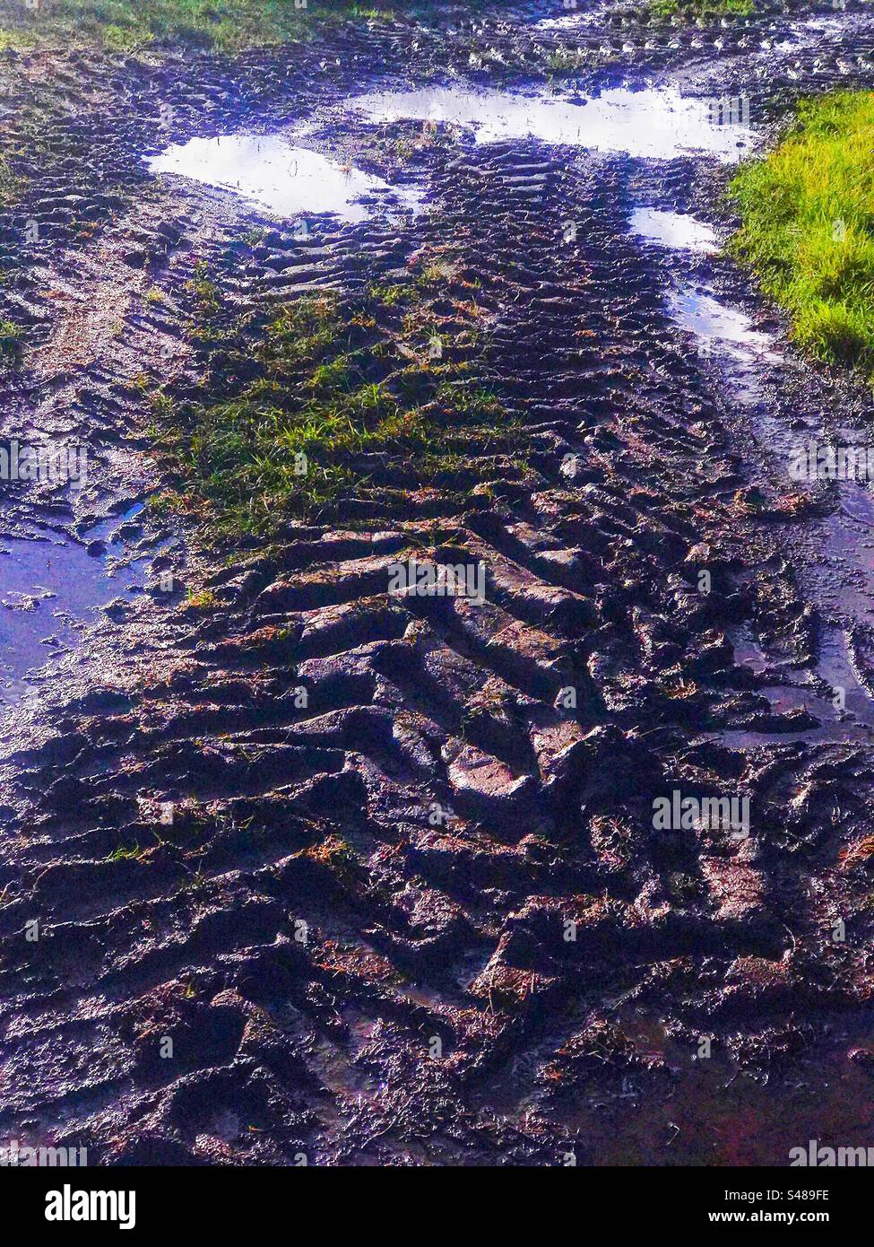 Tractor tyre tracks in mud Stock Photo - Alamy
