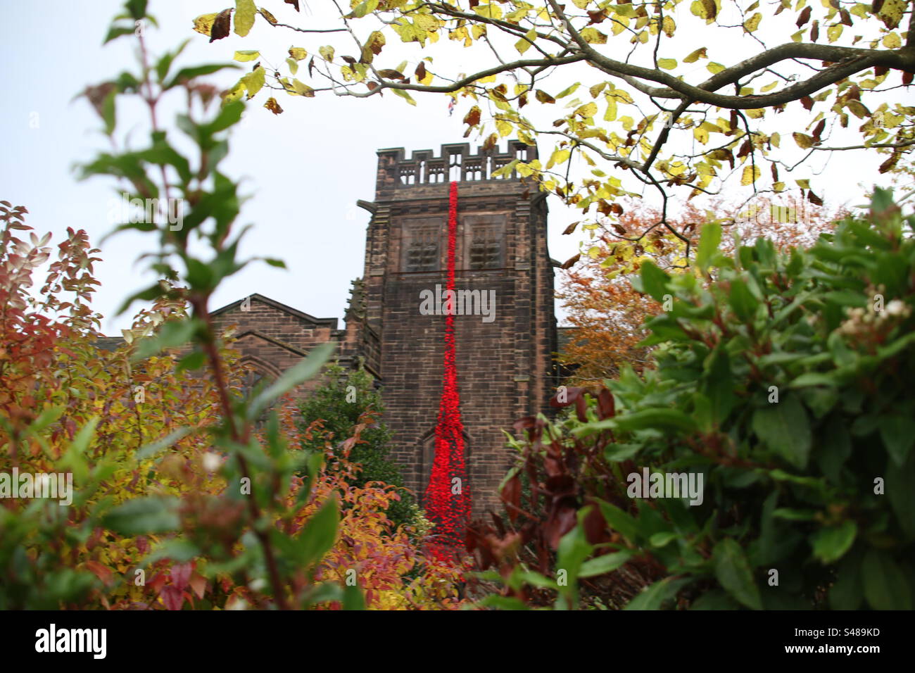 Poppy waterfall hi-res stock photography and images - Alamy