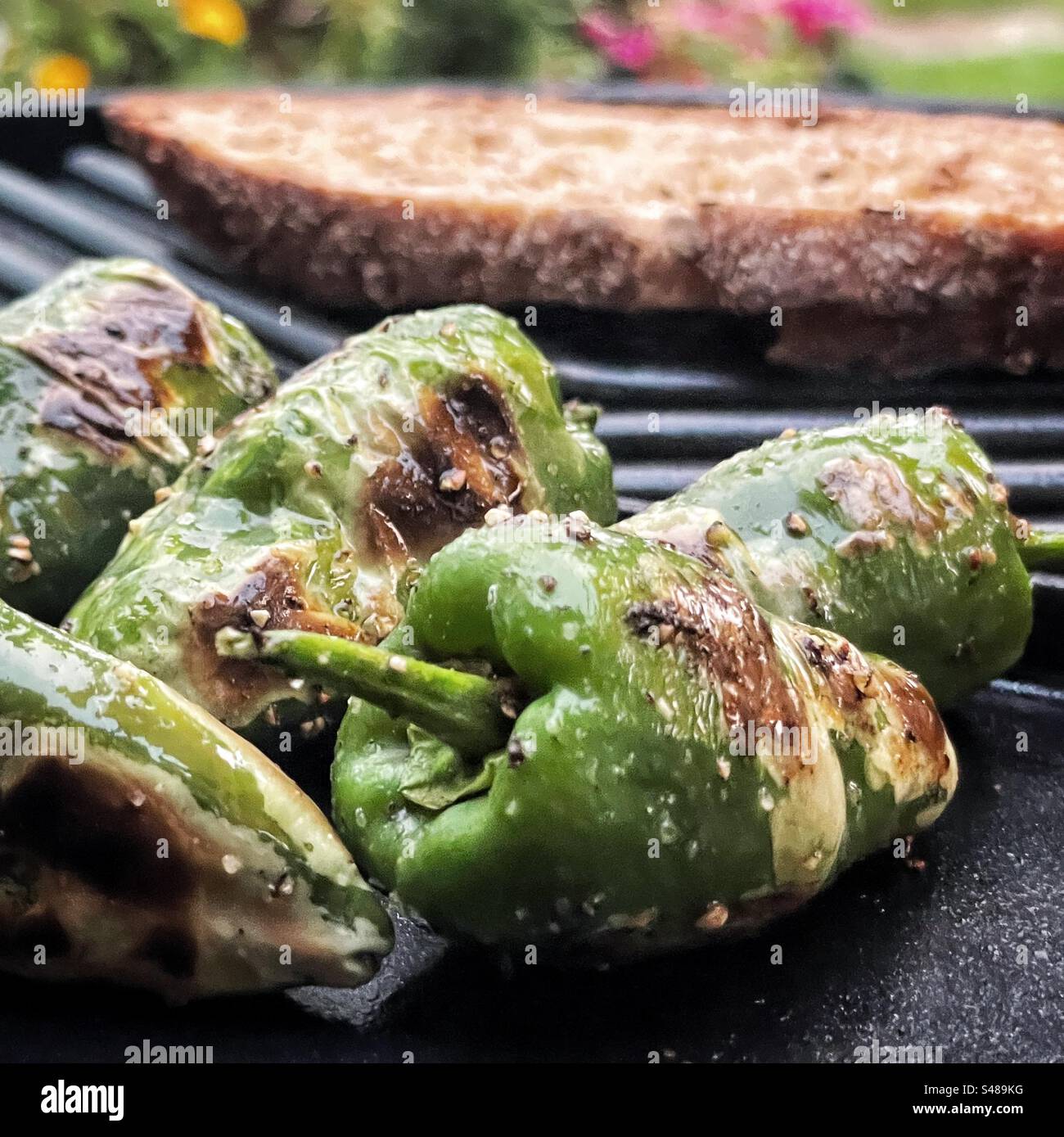 Pardon peppers hi-res stock photography and images - Alamy