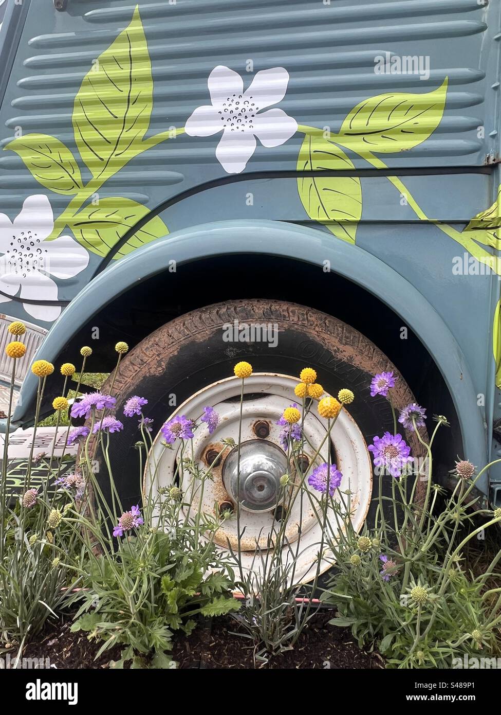 Wheel of flowers hi-res stock photography and images - Alamy