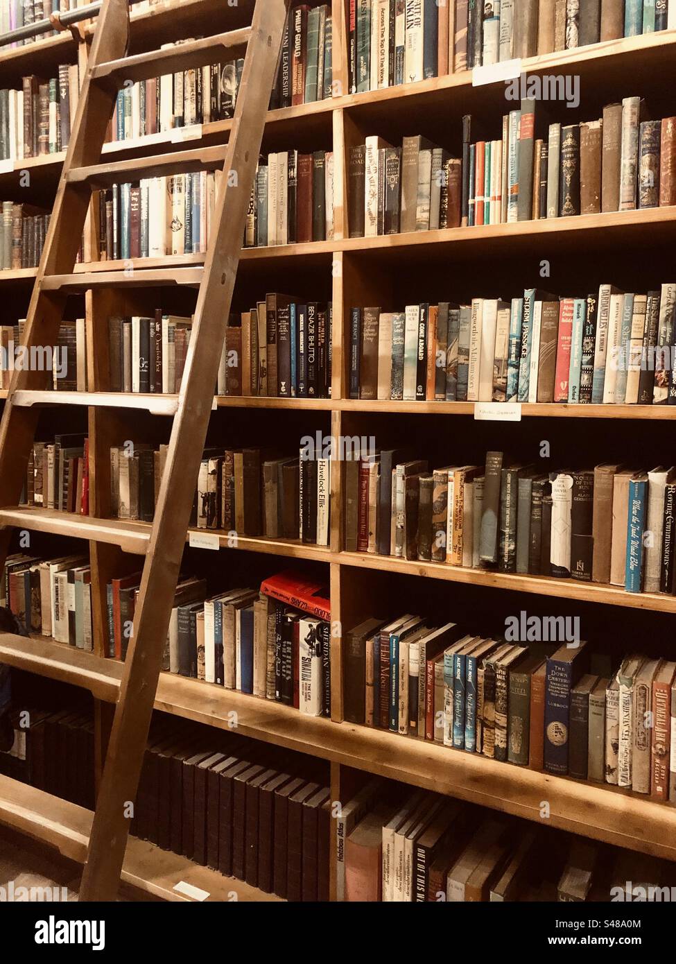 Traditional library with full bookshelves and ladder Stock Photo - Alamy