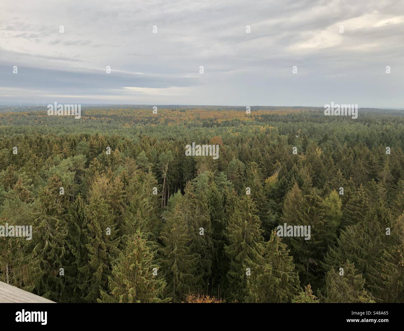 Forest horizon hi-res stock photography and images - Alamy